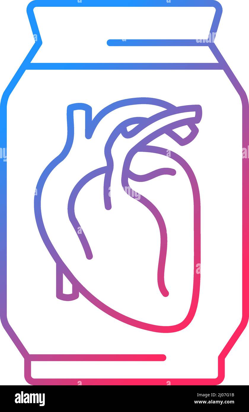 Human heart exhibit at museum gradient linear vector icon Stock Vector ...