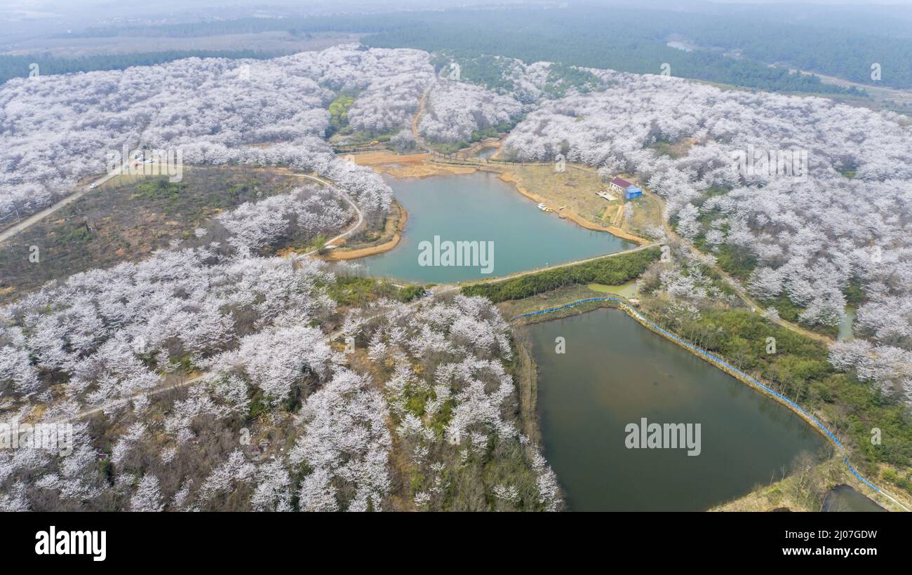 Xuancheng, Xuancheng, China. 17th Mar, 2022. On March 16, 2022 ...