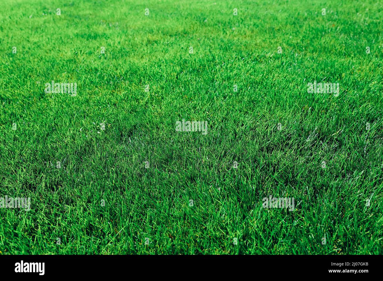 Real natural background field hi-res stock photography and images - Alamy