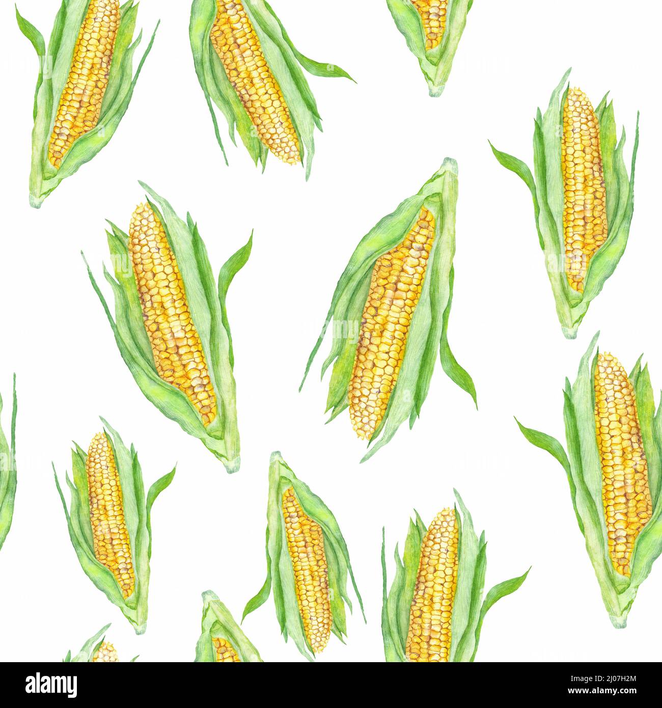 Seamless watercolor background with sweet corn painting Stock Photo - Alamy
