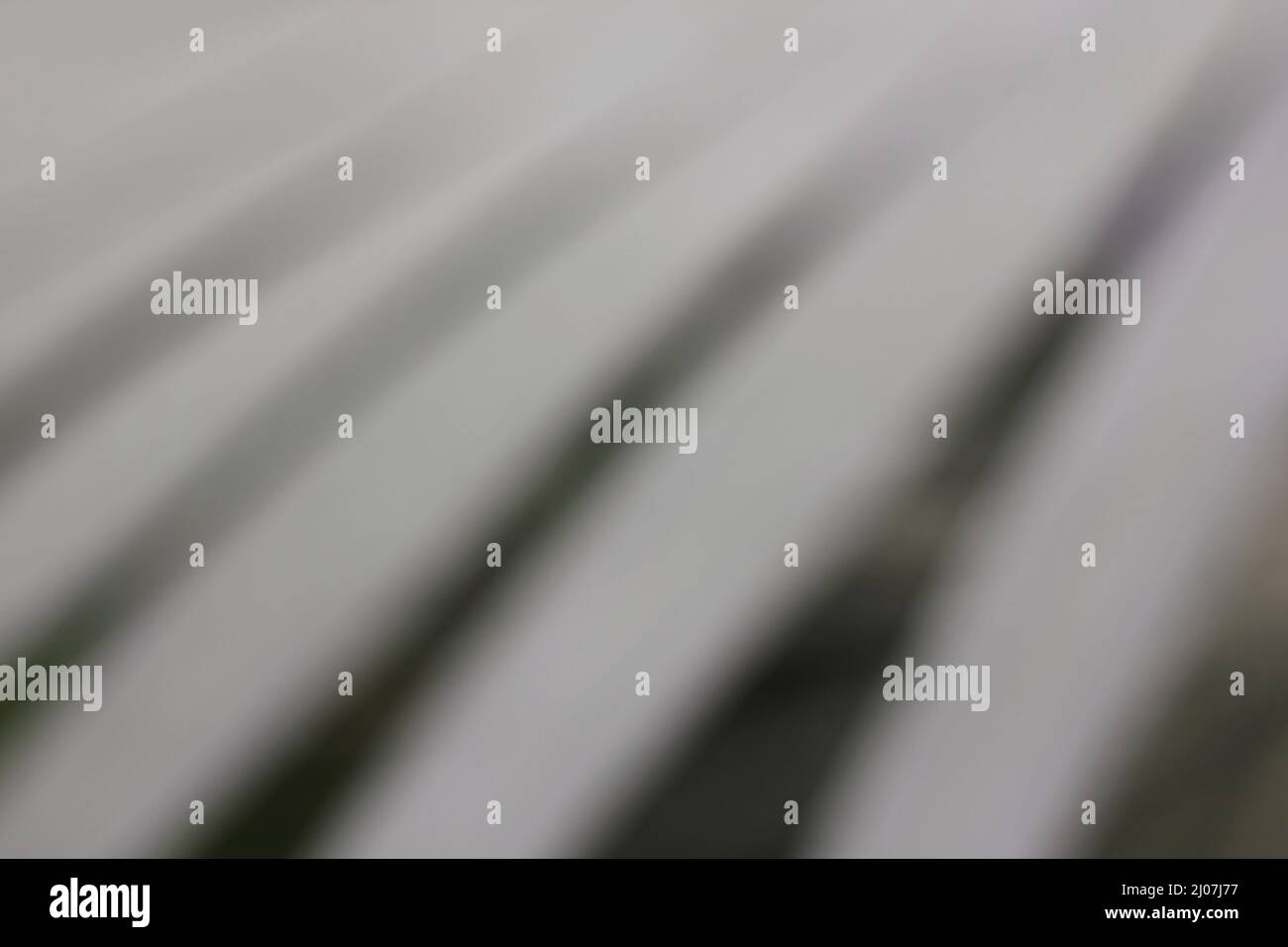 Beautiful dreamy view of palm tree fronds hanging from above Stock ...