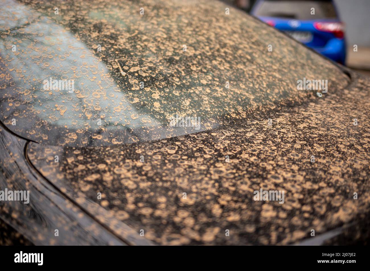 Dust and dirt on a car due to a sand storm arriving from the sahara in ...