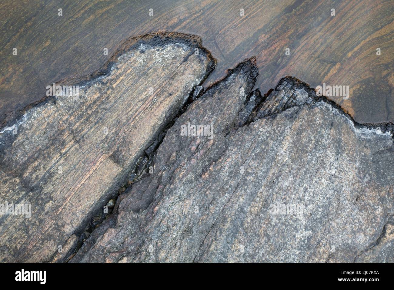 Pond texture hi-res stock photography and images - Alamy