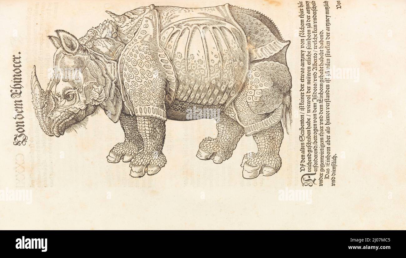 Rhinoceros. From Historia animalium. Museum: PRIVATE COLLECTION. Author ...