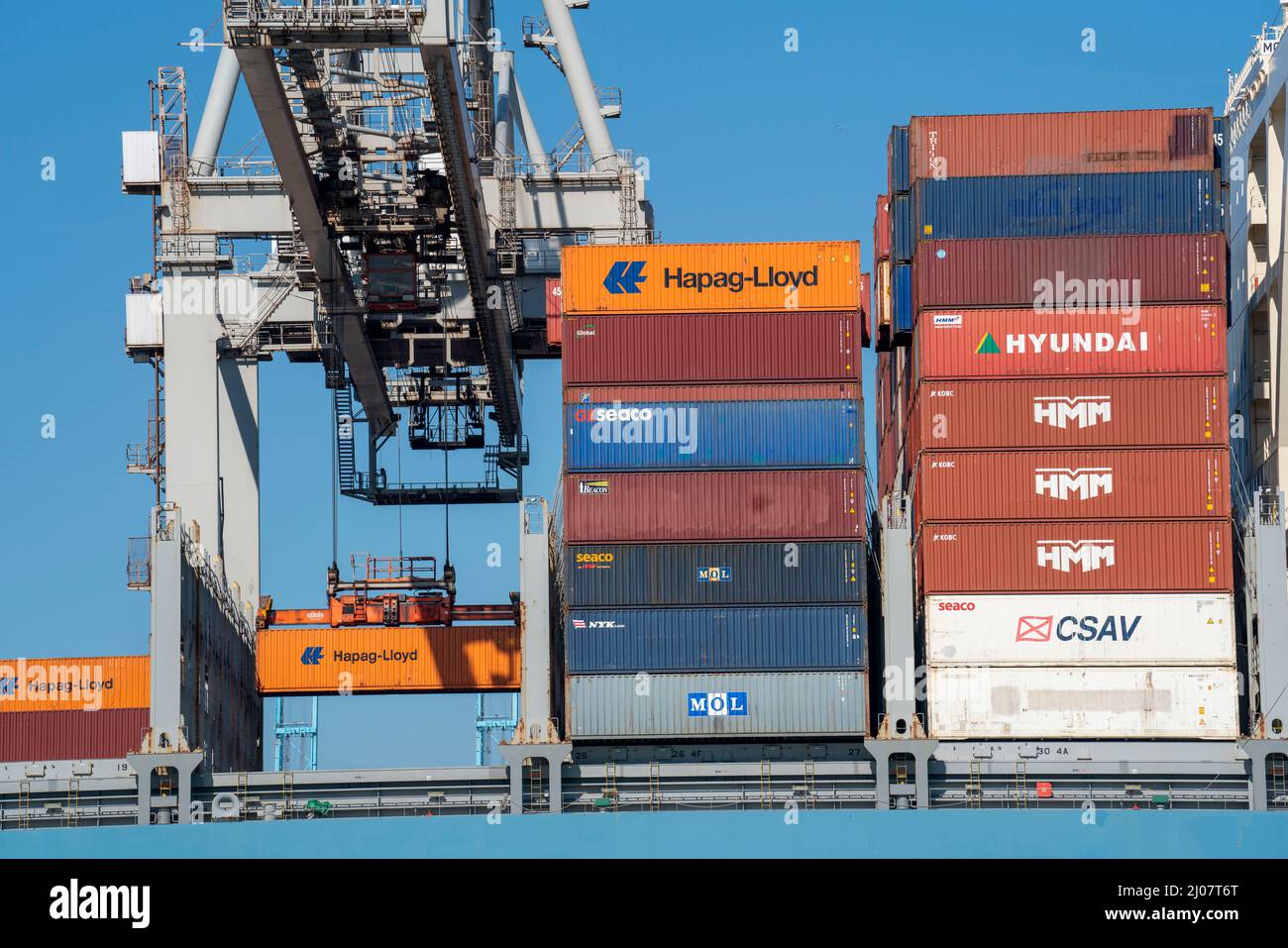 The seaport of Rotterdam, Maasvlakte, Hutchinson ECT Delta Terminal ...