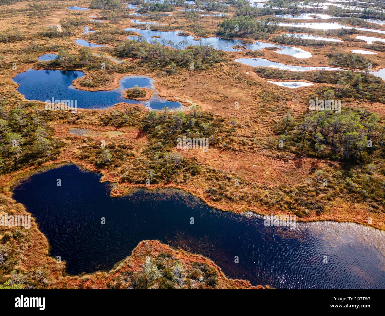 Swamp, bog and lakes in Estonian nature reserve Kakerdaja. Drone aerial ...