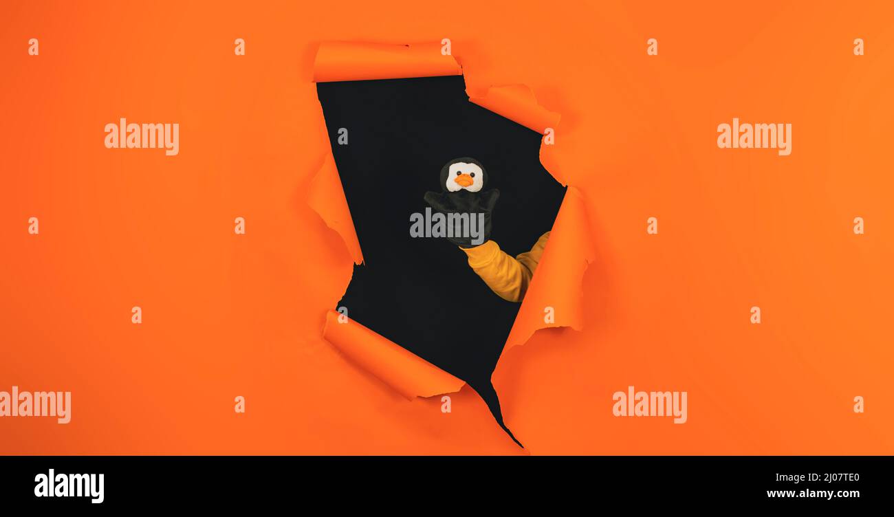 Soft puppet toy on hand sticking out of hole of orange background ...