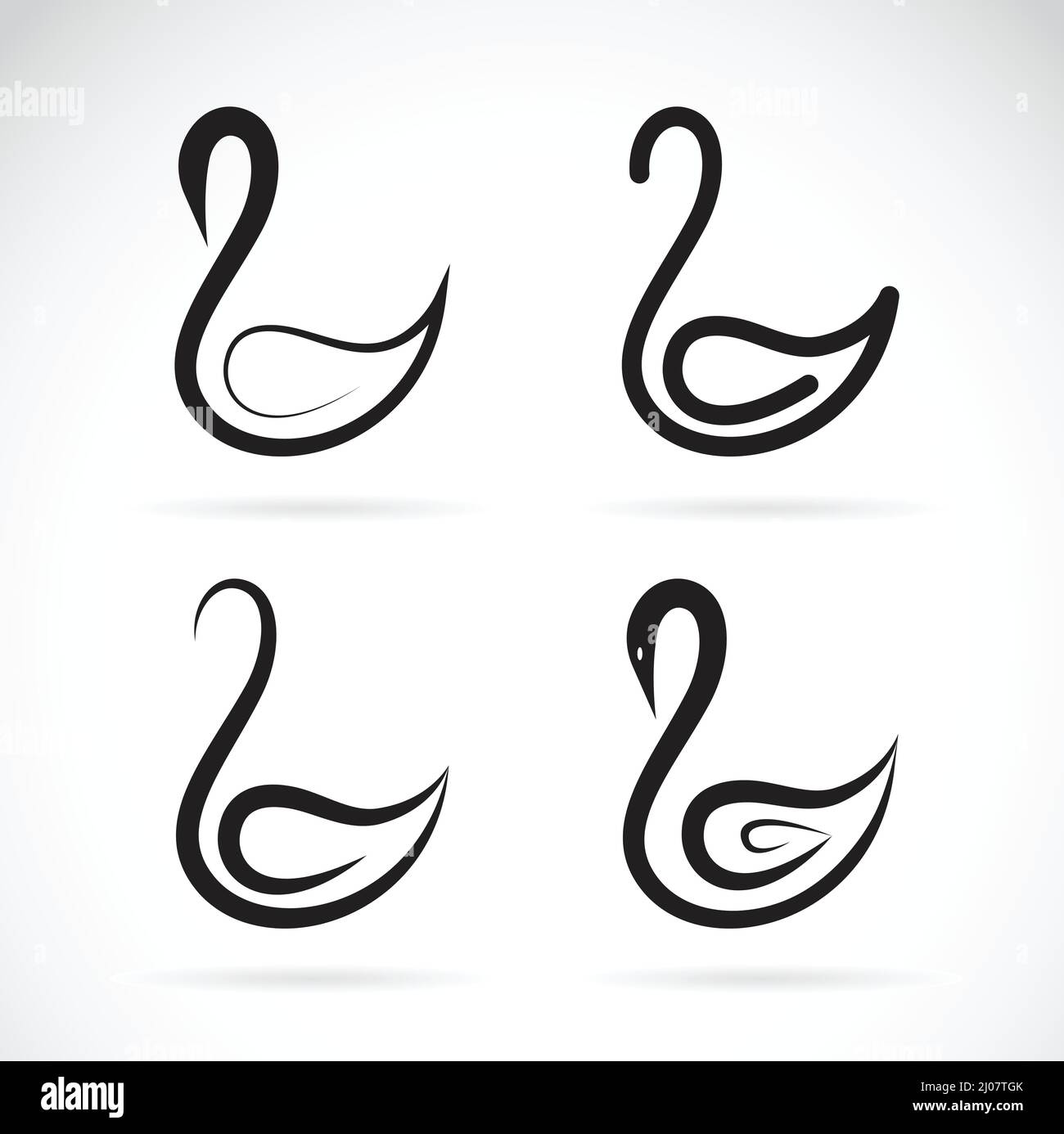 Vector of a swans design on a white background. Bird. Wild Animals ...