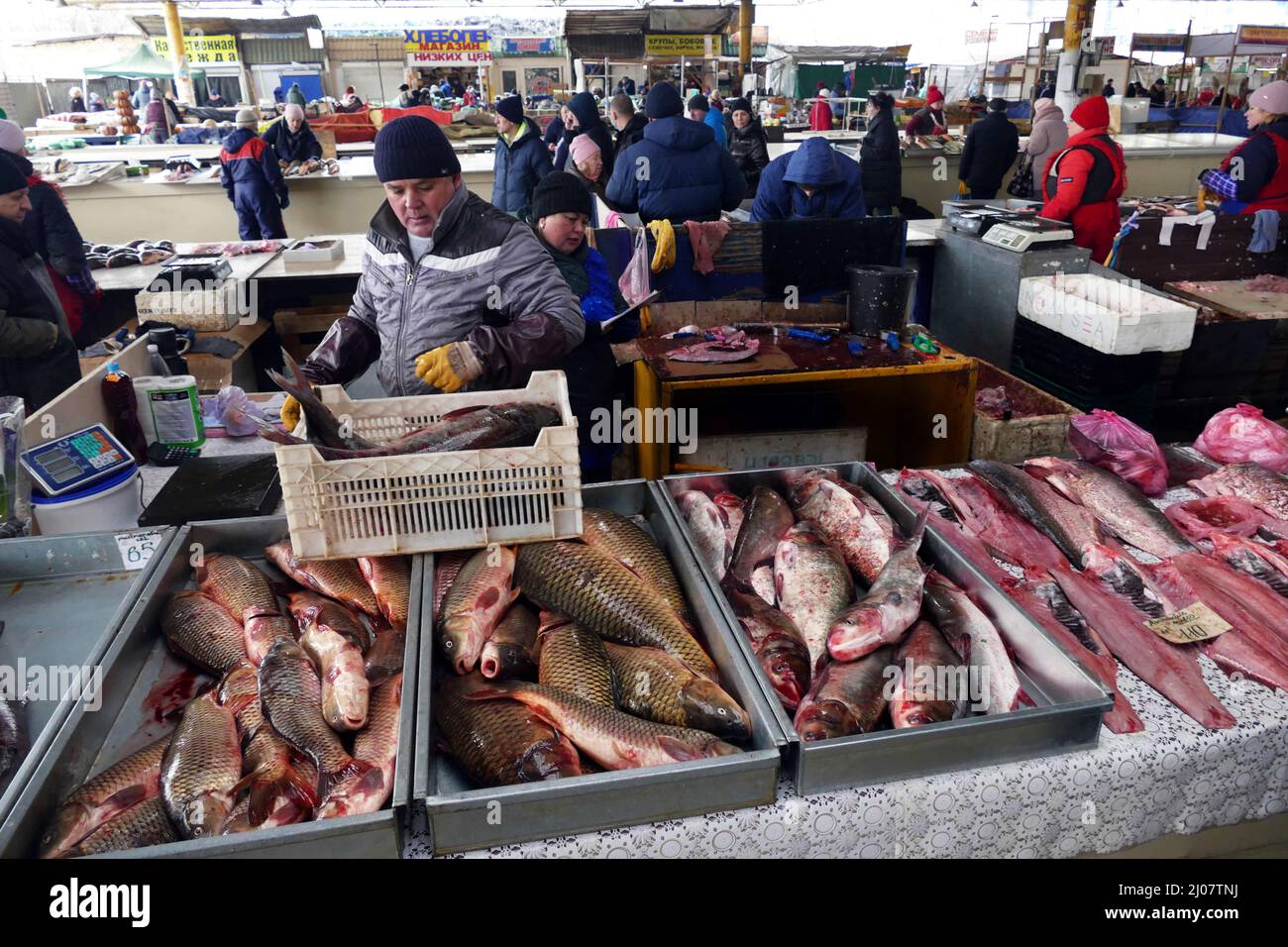 ODESA, UKRAINE - MARCH 16, 2022 - A vendor sells fish at the Pryvoz ...