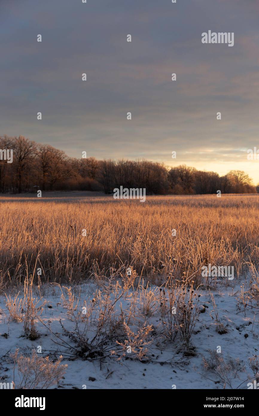 Crisp field hi-res stock photography and images - Alamy