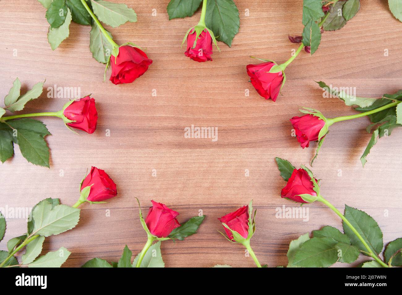 Roses in a circle hi-res stock photography and images - Alamy