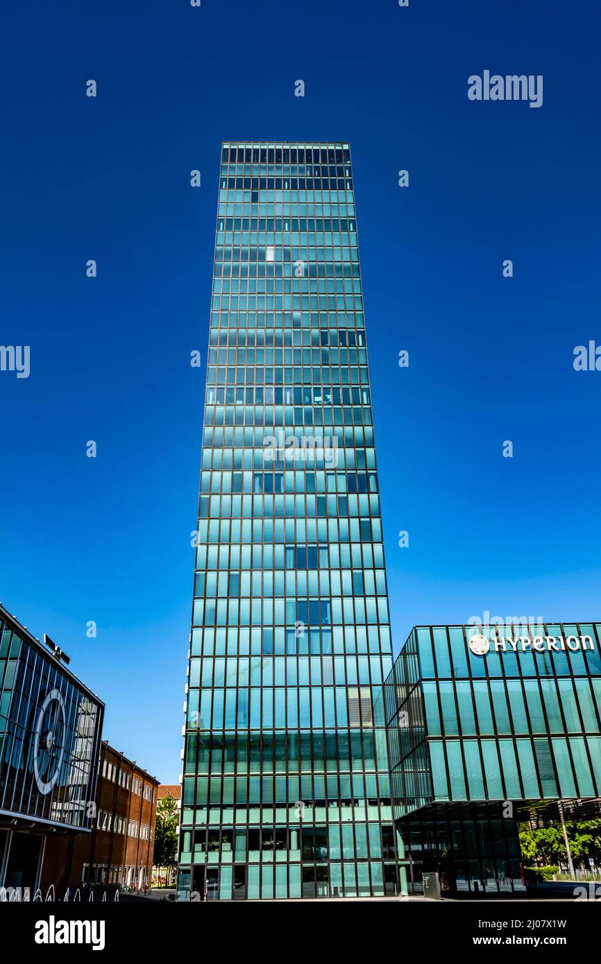 Hyperion tree hi-res stock photography and images - Alamy