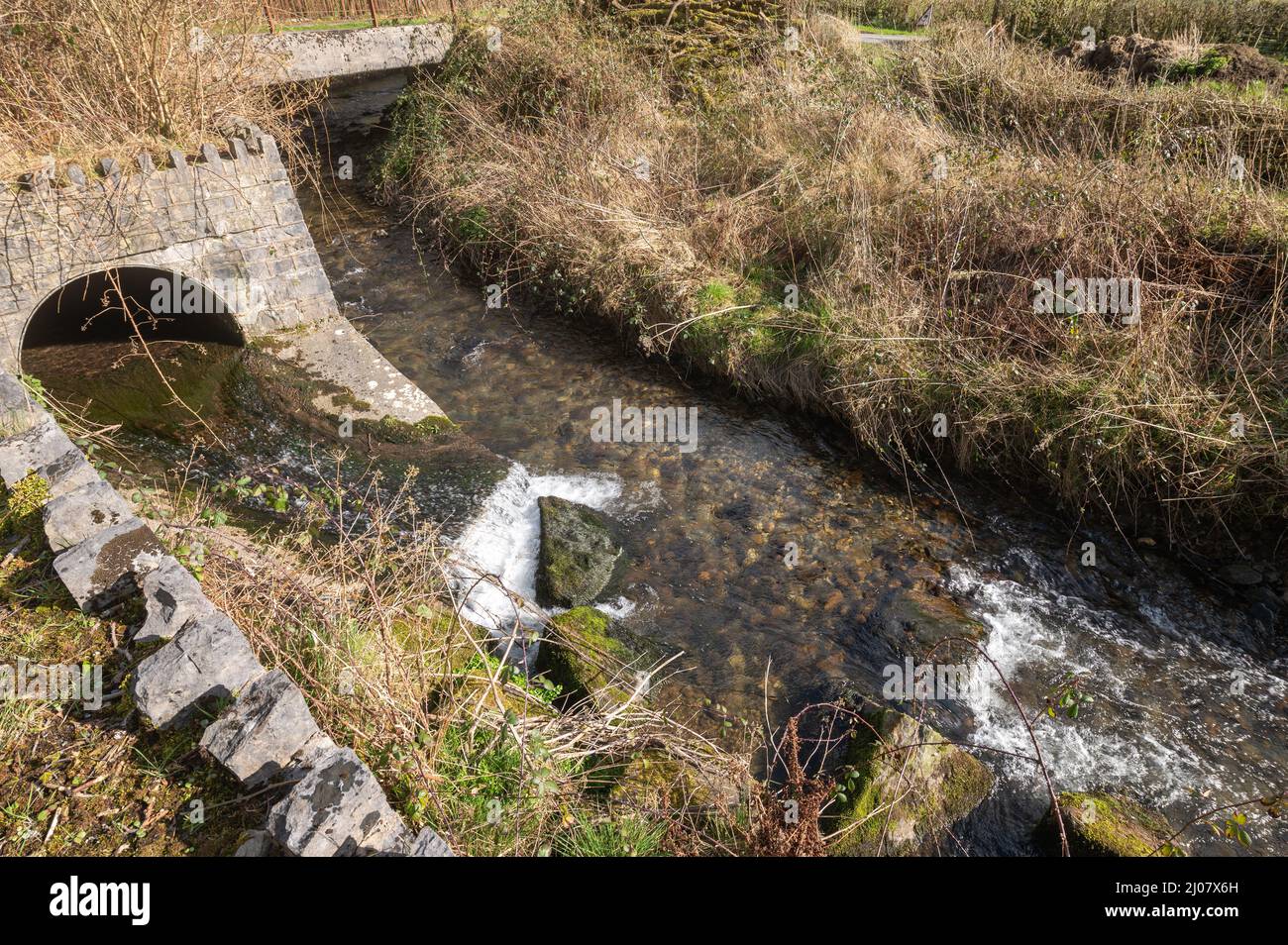 Culvert fish hi-res stock photography and images - Alamy