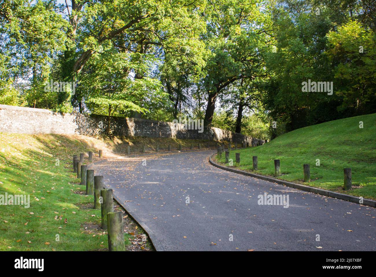 Narrow pathway in a park with trees and green grass under the bright ...