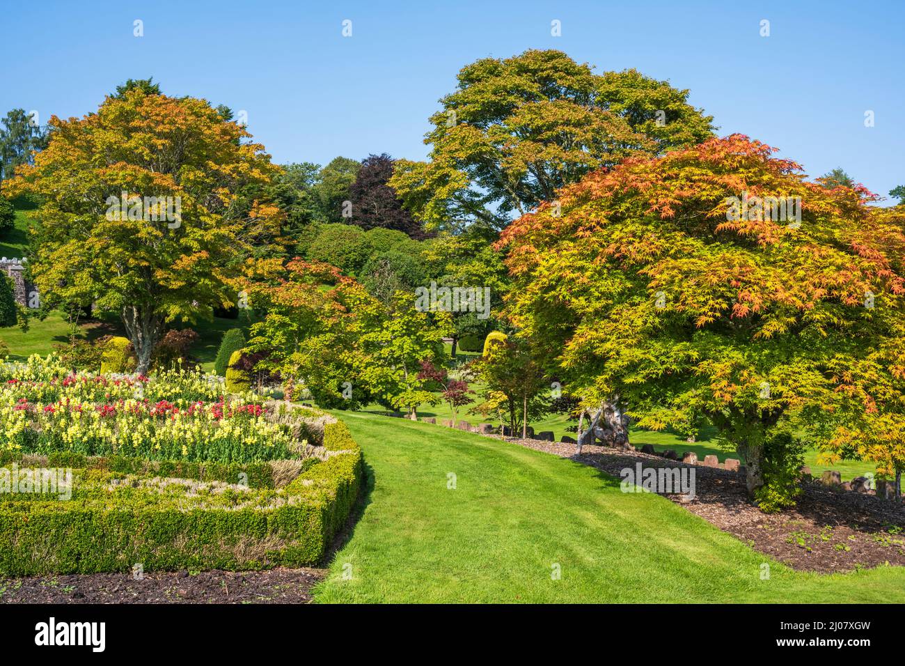 Deciduous trees in Drummond Castle Gardens near Crieff in Perthshire ...