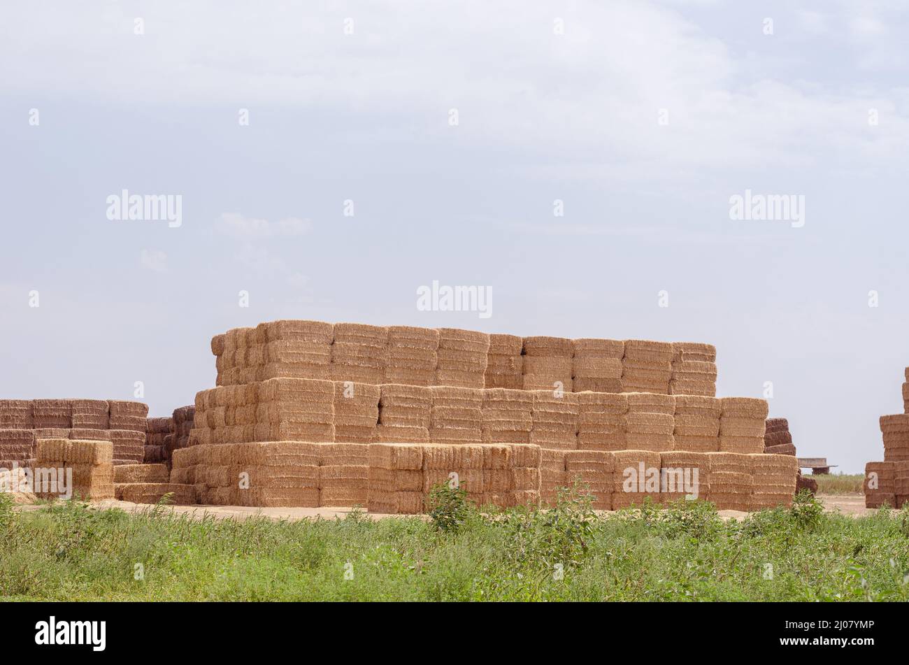 Stack of rectangular bales of dry straw under the October sky. Farmer's ...
