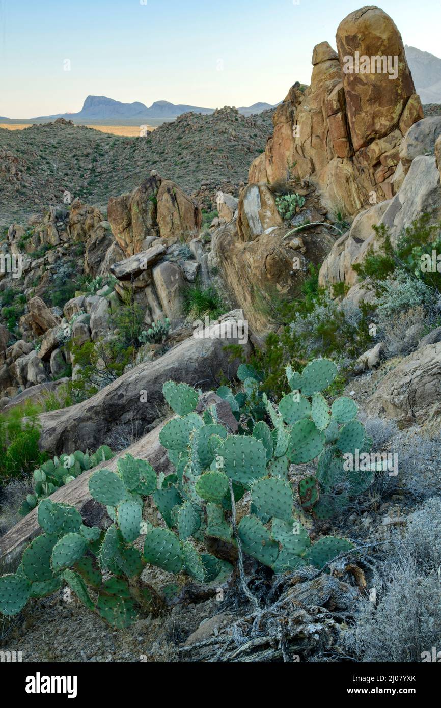USA, West Texas, Texas Big Big National Park, Grapevine Hills Stock ...