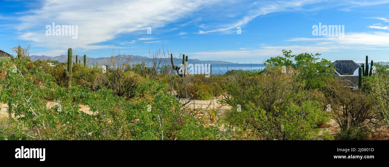 Mexico, Baja California Sur, El. Sargento, Rancho Sur, house, panorama ...