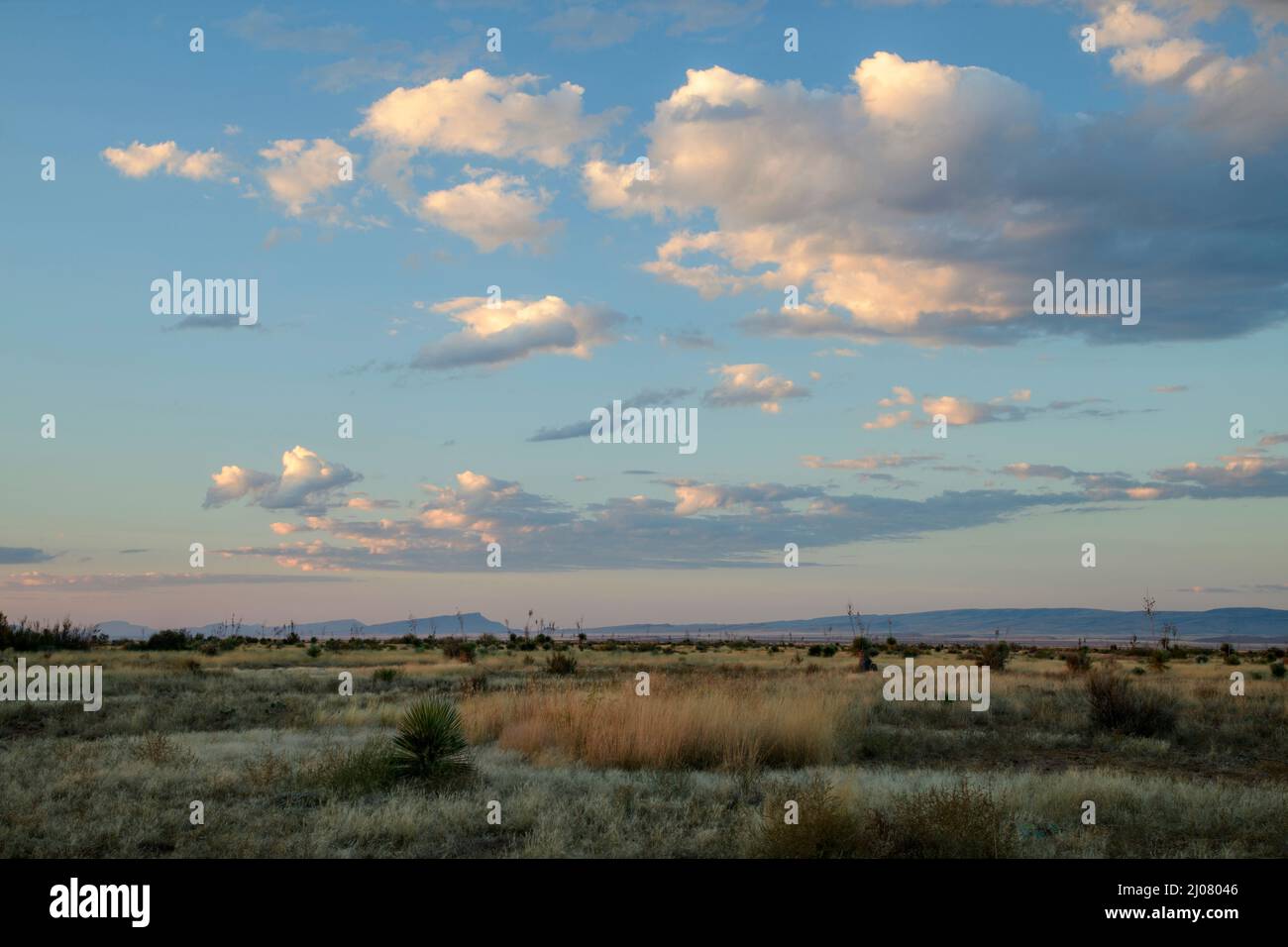 Marfa texas hi-res stock photography and images - Alamy