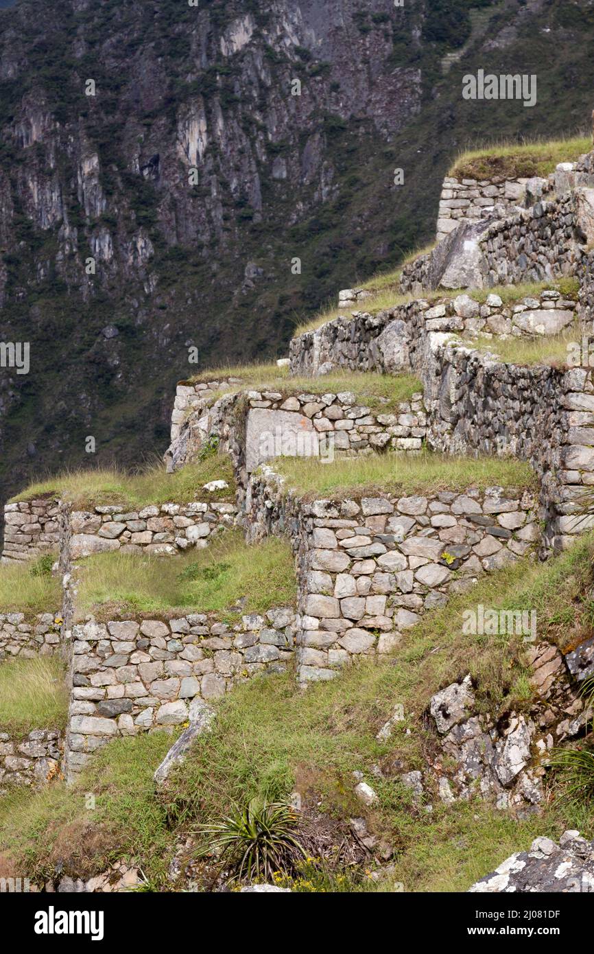 Ancient Inca City of Machu Picchu, ruins of the Machu Picchu Sanctuary ...