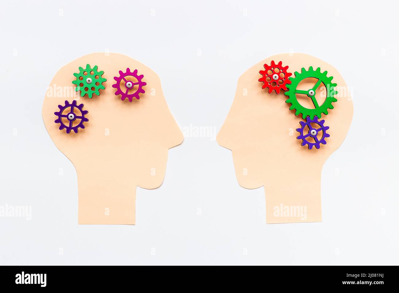 Brain work - gears on two paper human heads. Teamwork concept Stock ...