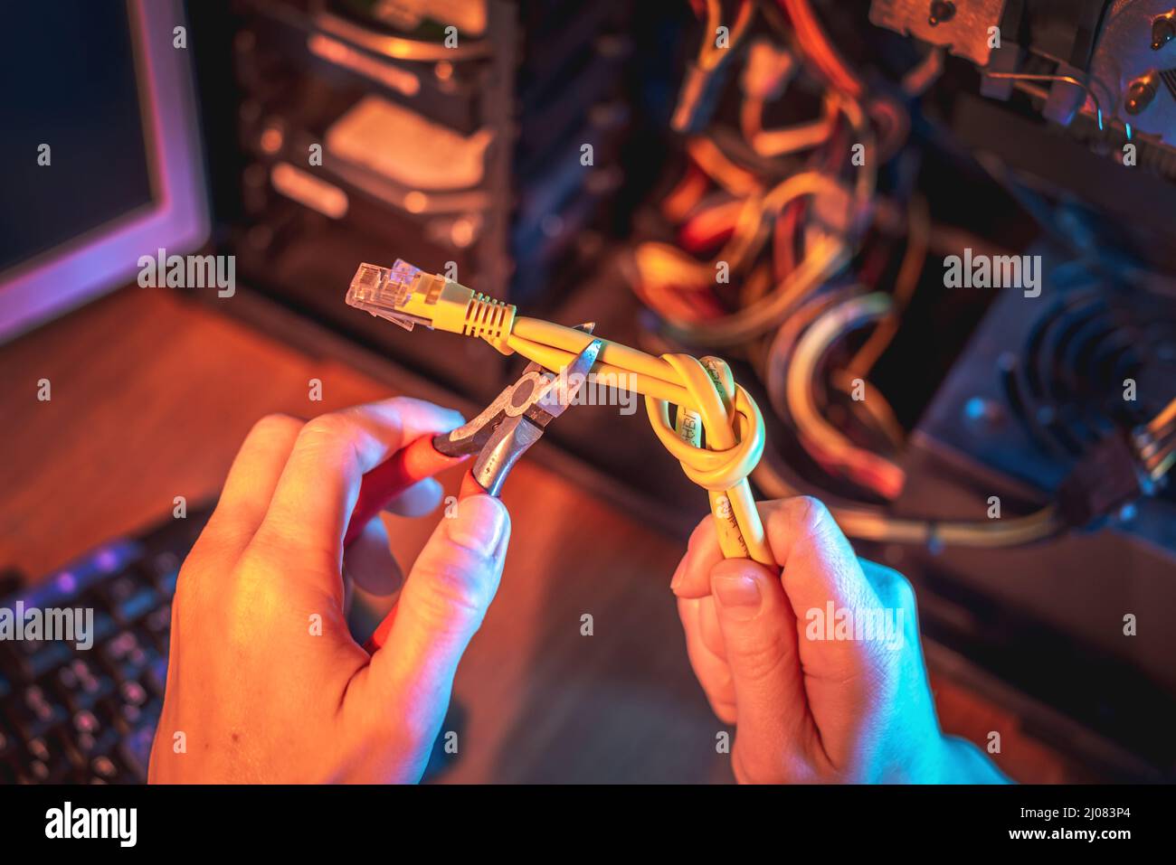 Cutting the Internet cable tied into a knot with wire cutters. The ...