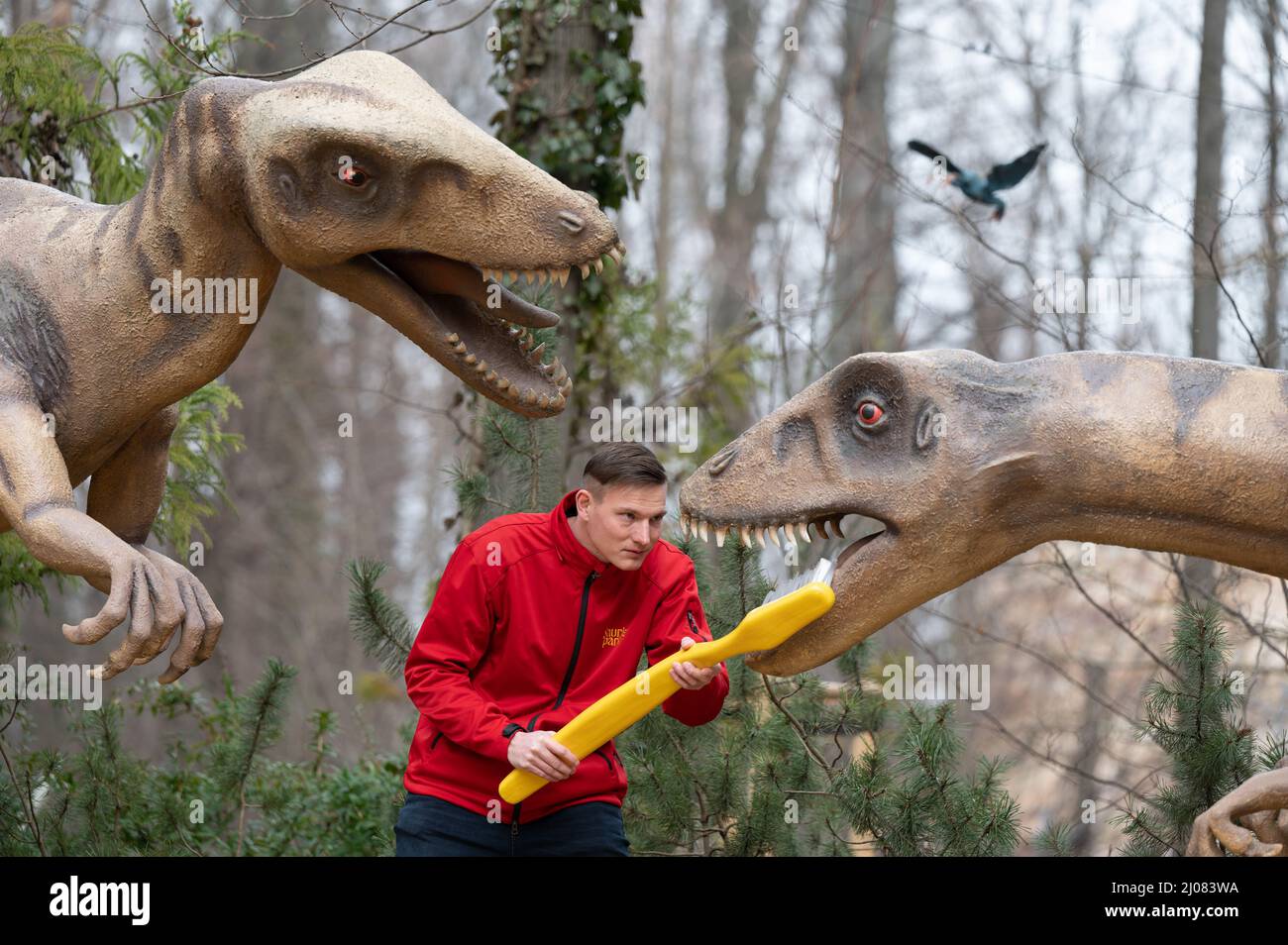 Kleinwelka, Germany. 17th Mar, 2022. Tim Kailich, intern, cleans the ...