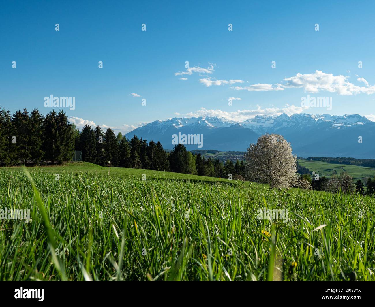 Overview on the Sarnonico and Cavareno plateau, Valle di Non valley ...