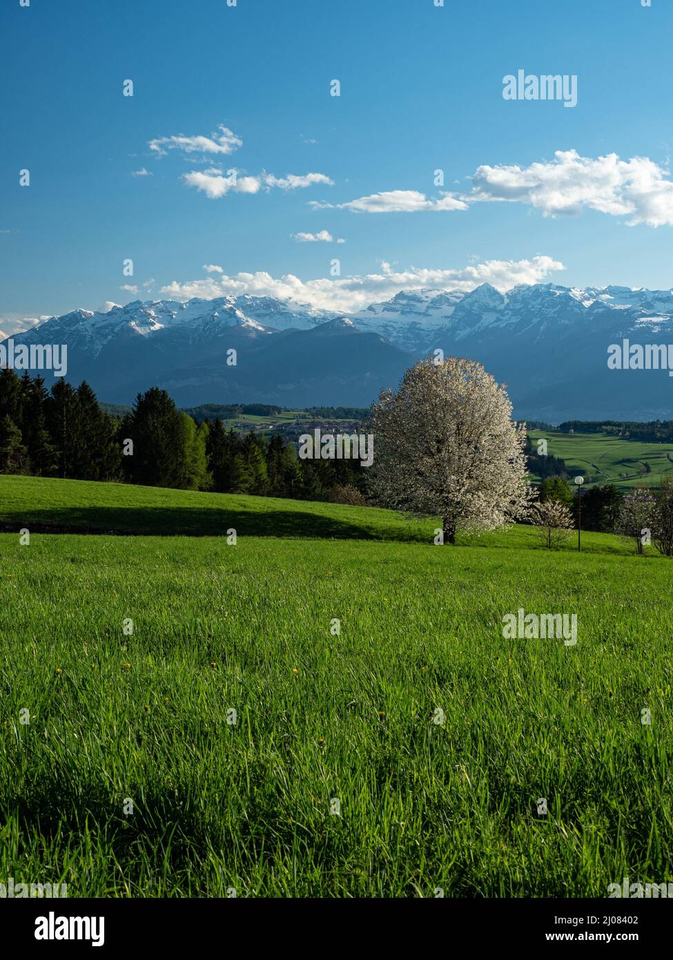 Cavareno hi-res stock photography and images - Alamy