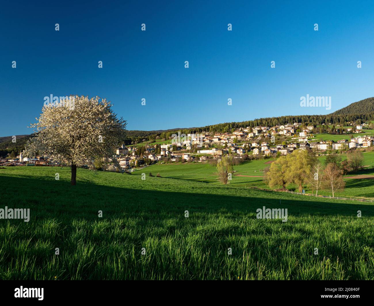 Overview of the Sarnonico and Cavareno plateau, Non valley, Trentino ...