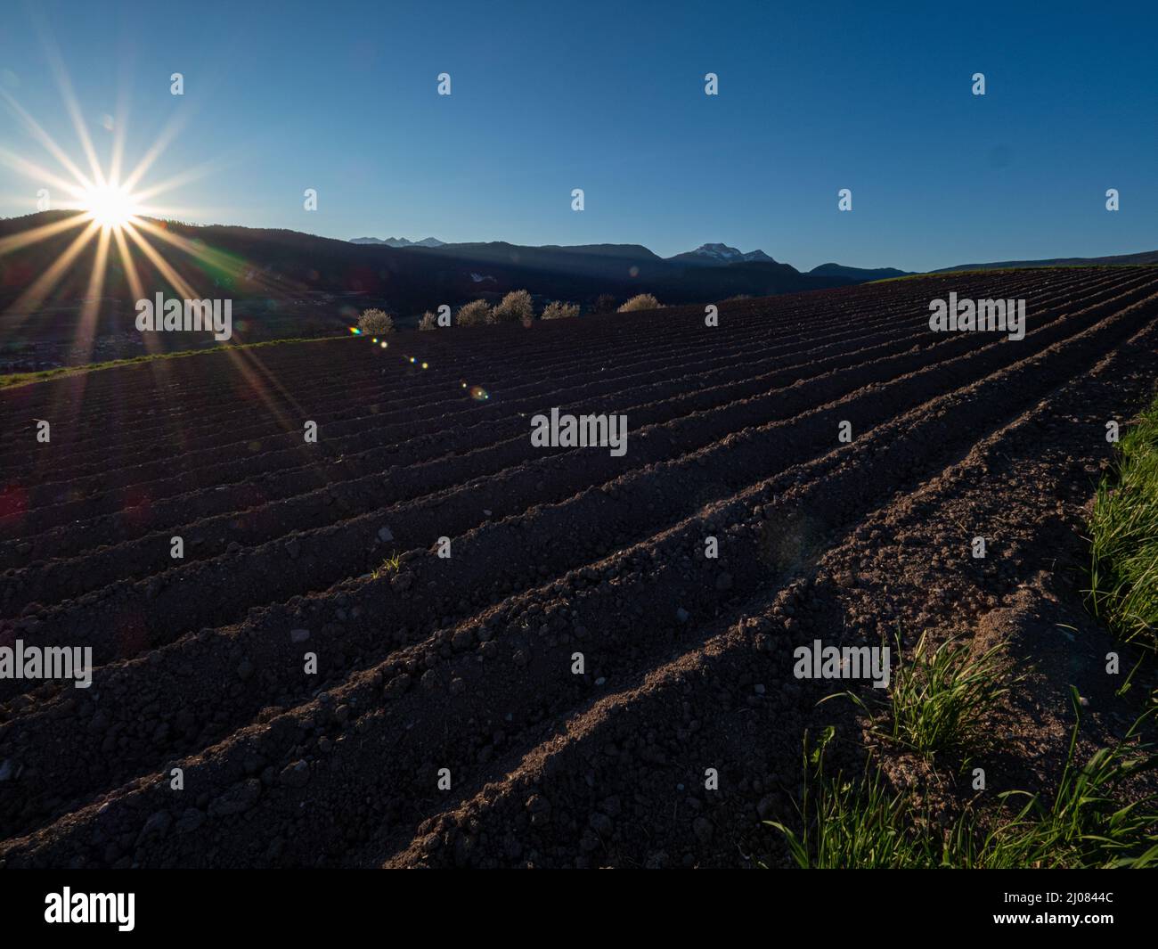 Overview on the Sarnonico and Cavareno plateau, Valle di Non valley ...