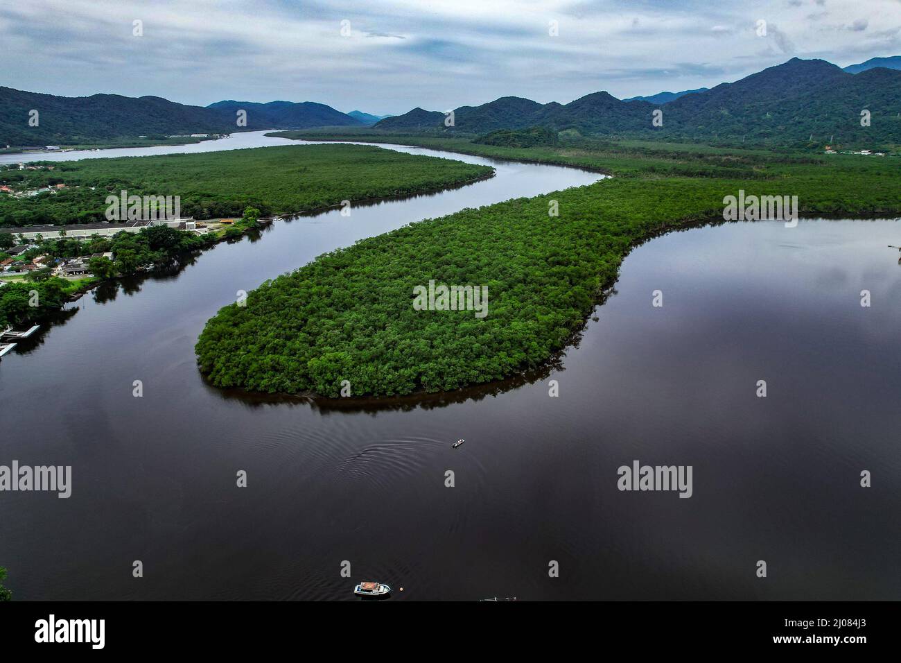 Beautiful view of the curved river surrounded by green vegetation Stock ...
