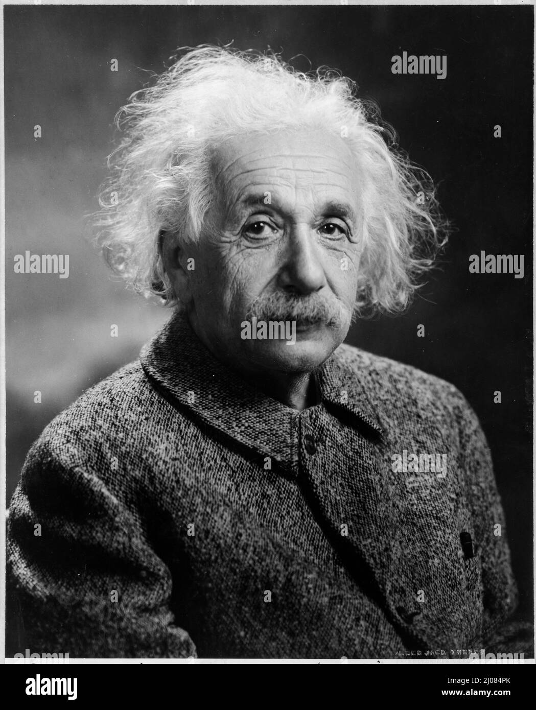 American einstein Black and White Stock Photos & Images - Alamy
