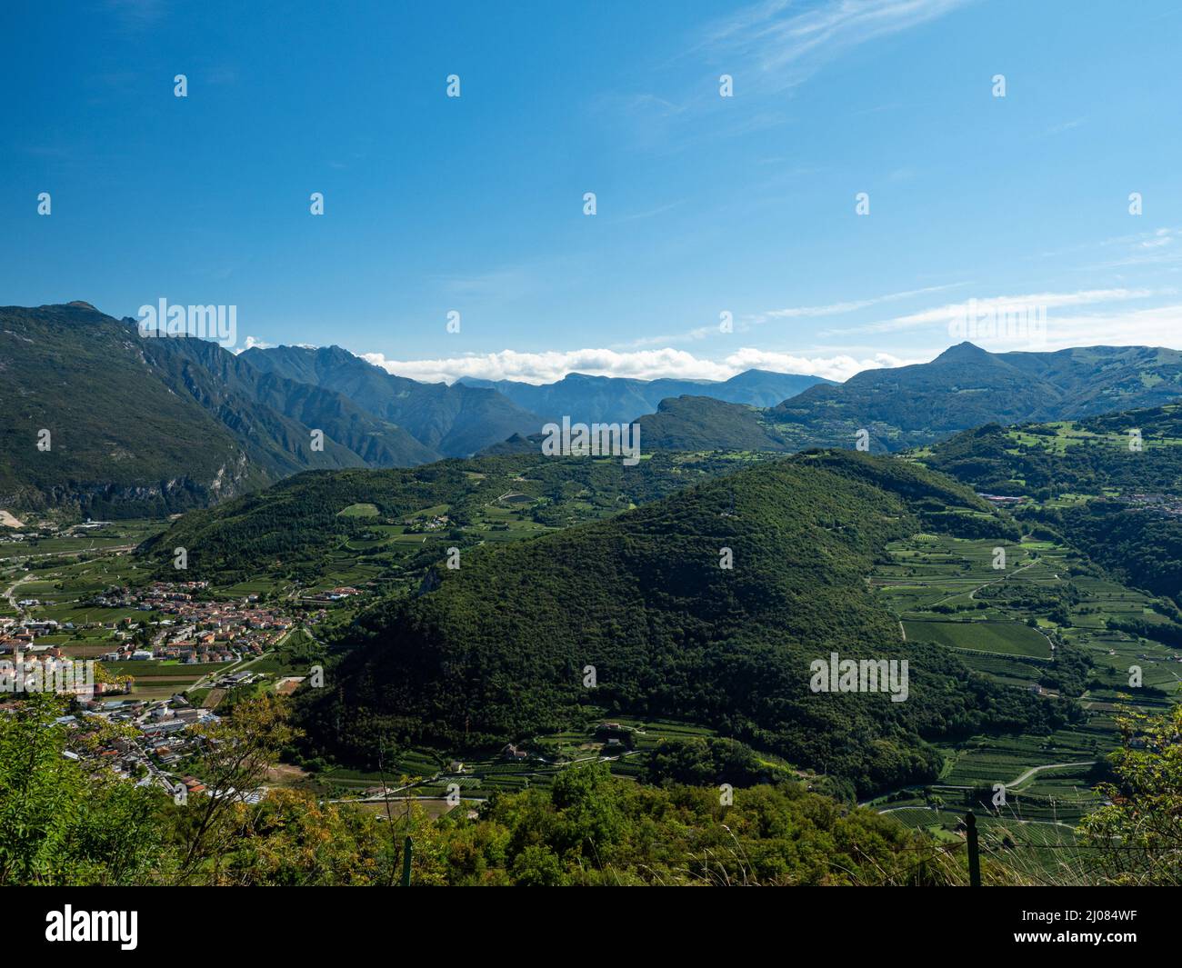 Vineyard area of the Mori hill, view from the Gresta valley, Trentino ...