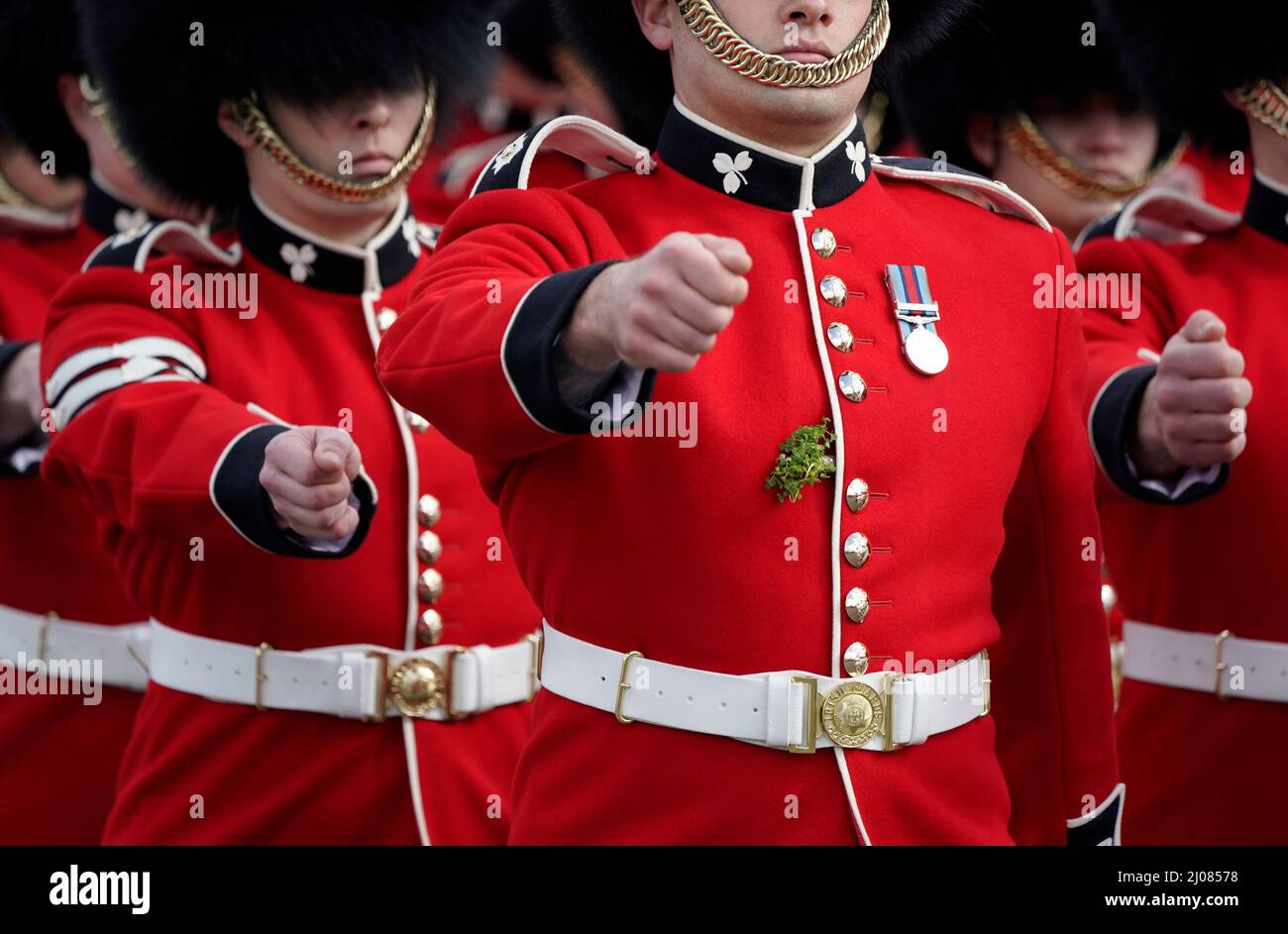 Sprigs of shamrock are seen on the tunic of members of the Irish Guards ...