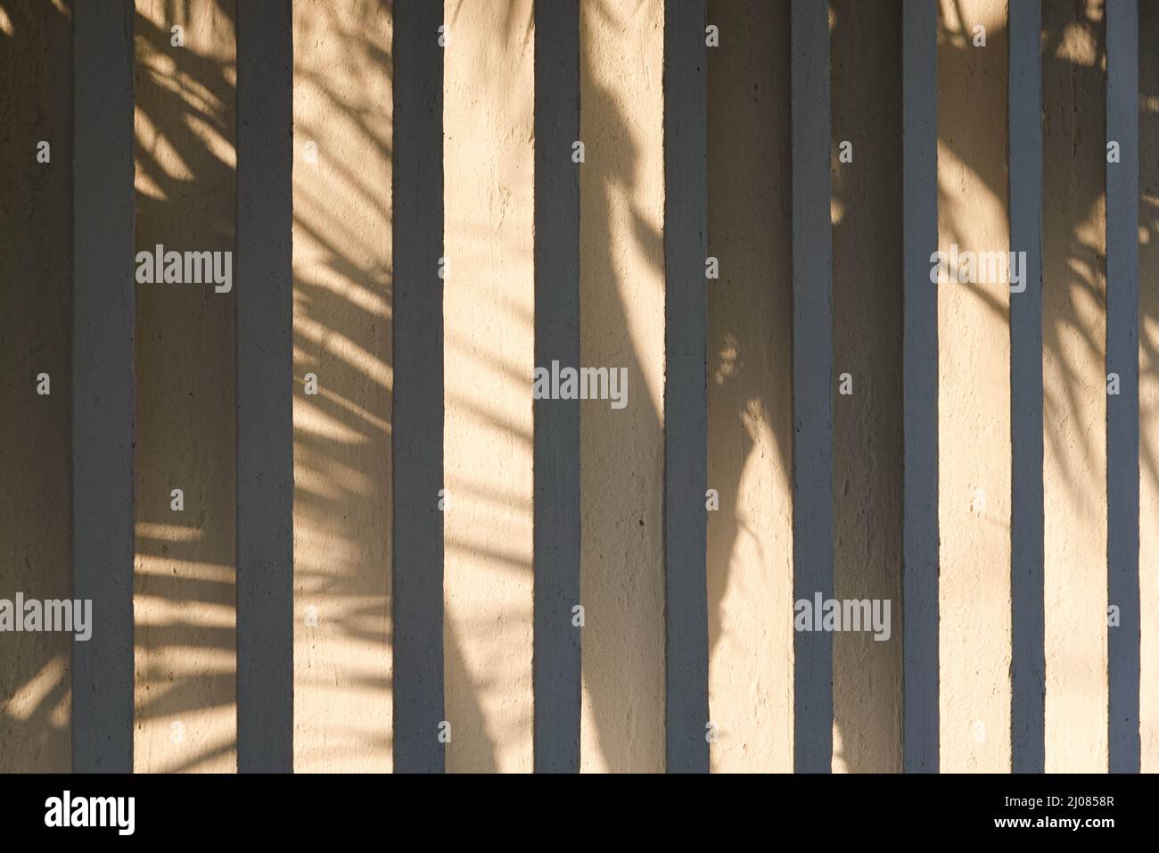 White wall background with gray vertical lines and shadows of trees ...