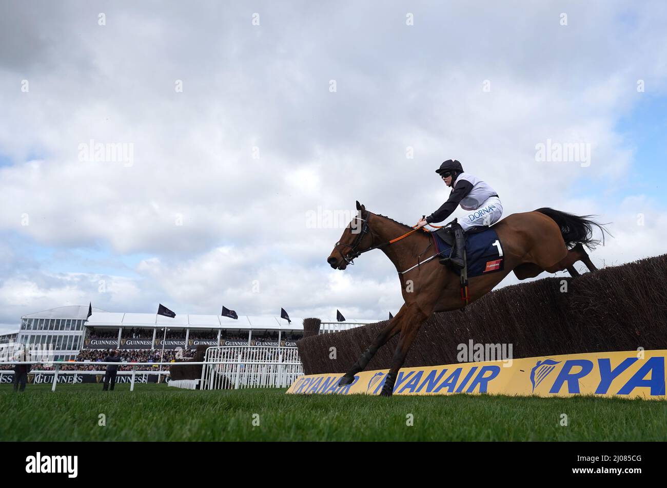 Bob olinger cheltenham 2022 hi-res stock photography and images - Alamy