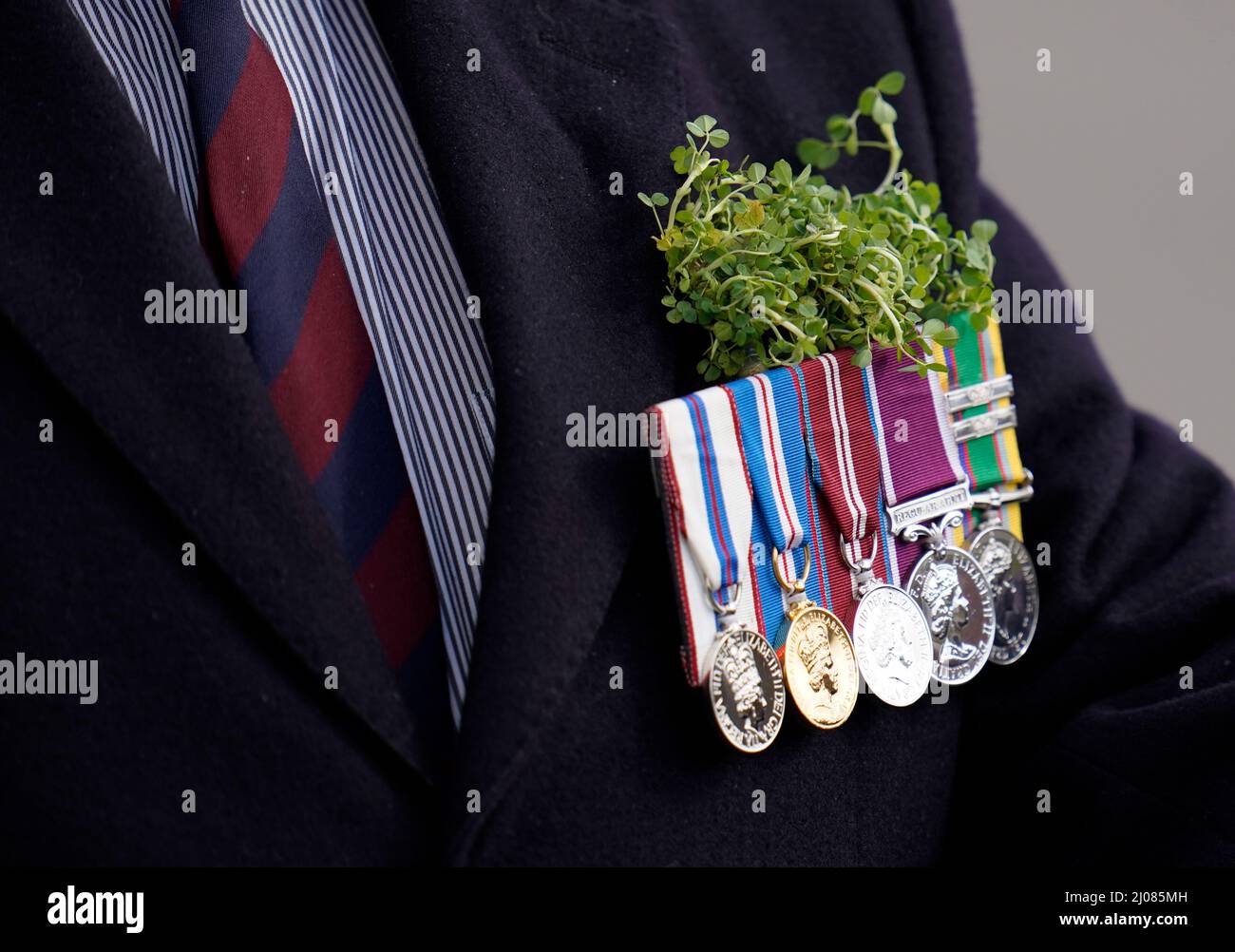 Sprigs of shamrock are seen on the jacket of a former member of the ...