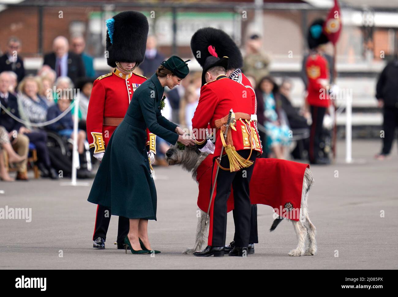 The Duchess of Cambridge places sprigs of shamrock onto the collar of ...