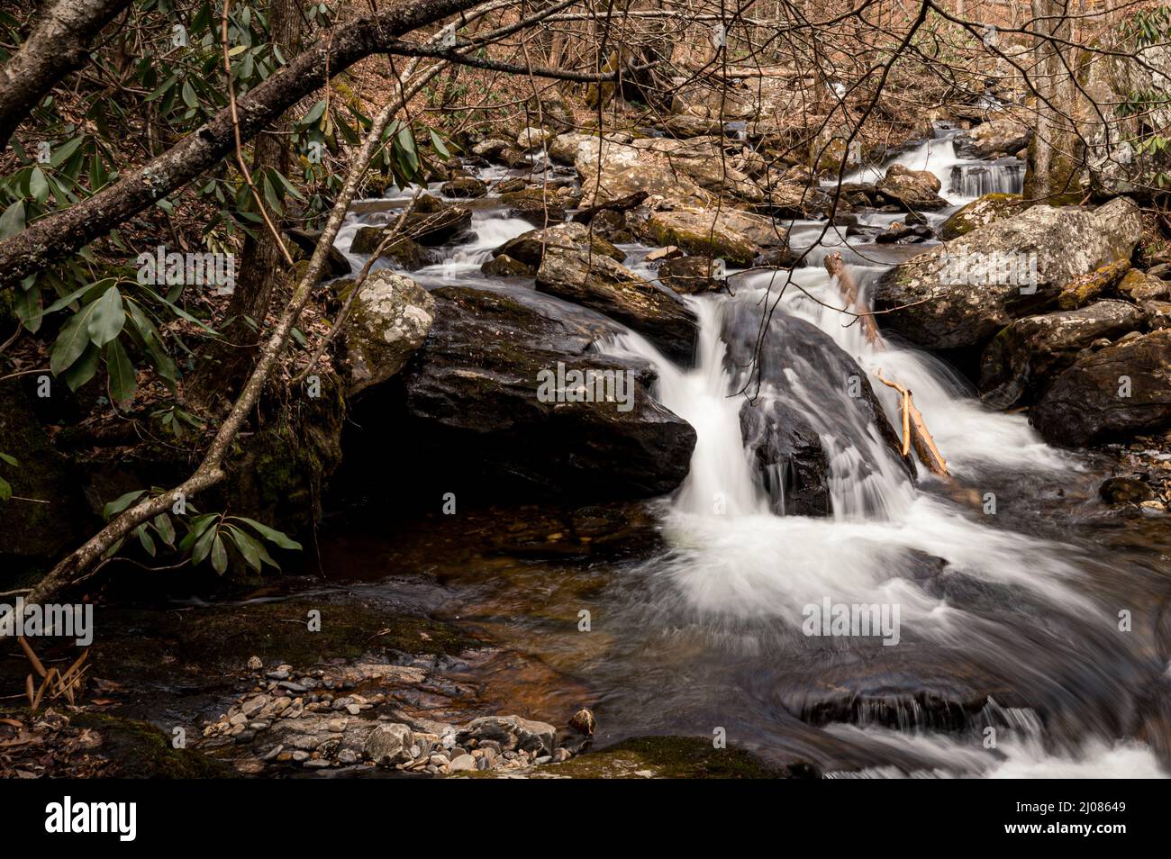 River flowing in the forest surrounded by rocks Stock Photo - Alamy