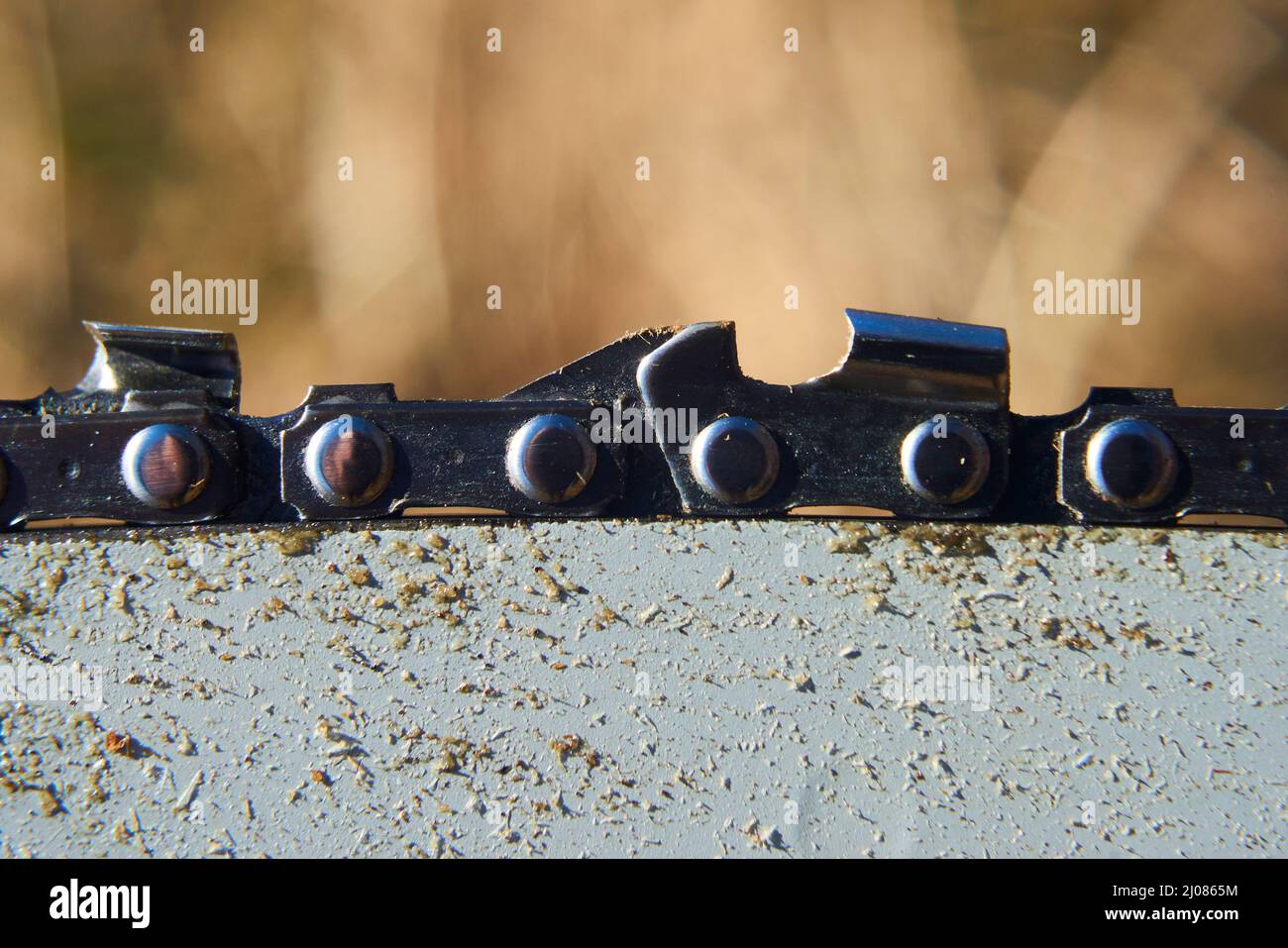 Detail of dirty used chainsaw chain for cutting wood. Selective focus ...