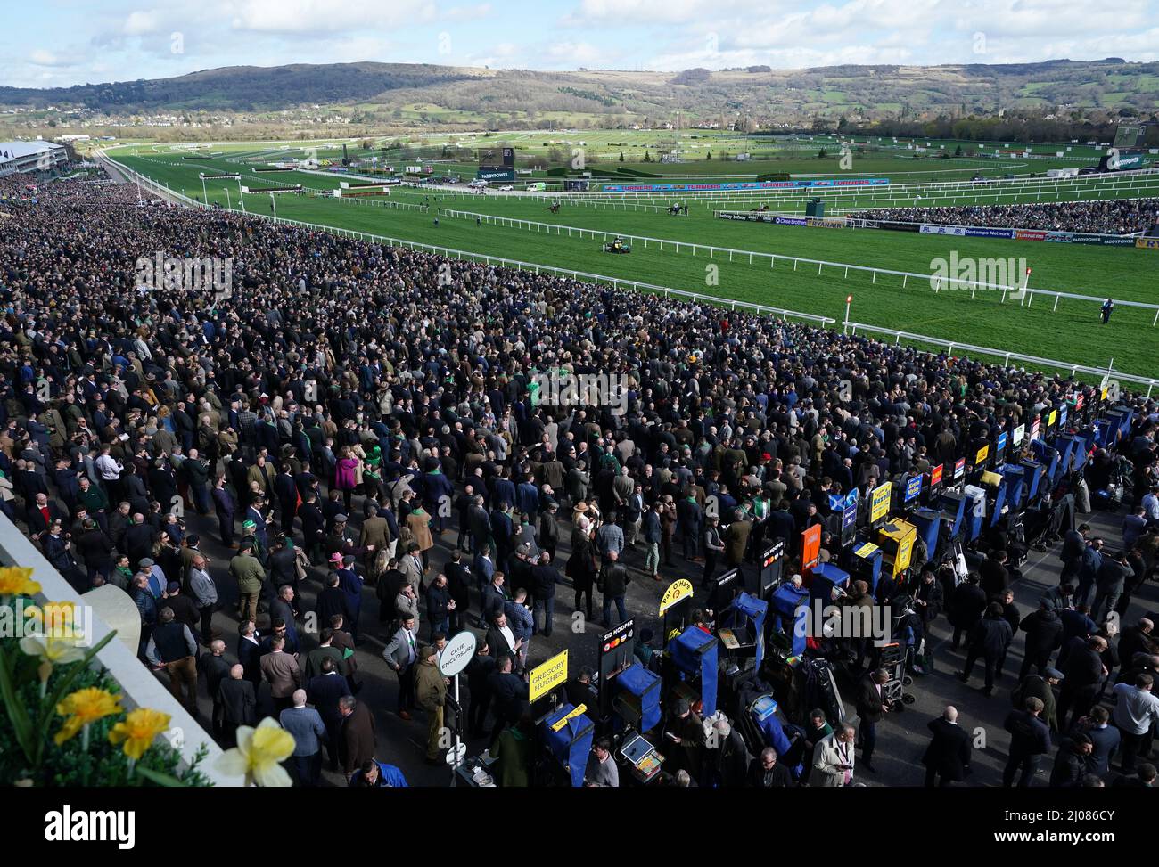 Bob olinger cheltenham hi-res stock photography and images - Alamy