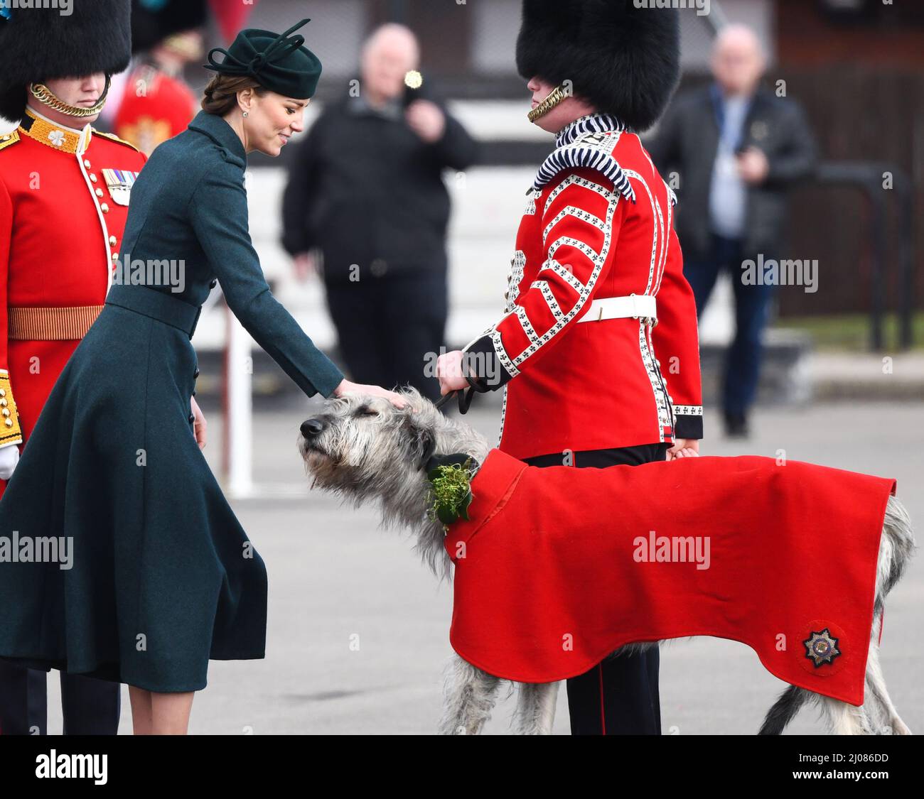 Aldershot, UK. 17th Mar, 2022. March 17th, 2022. Surrey, UK. The Duke ...