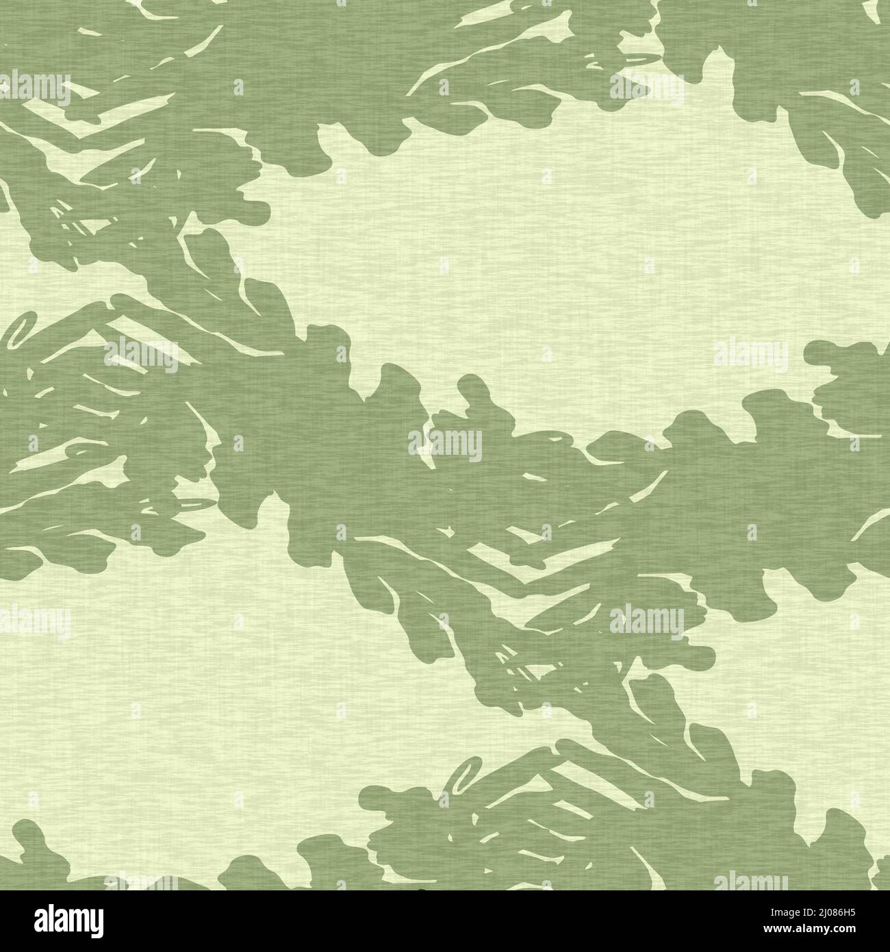 Retro botanical fern frond pattern. Seamless vintage ecological foliage ...