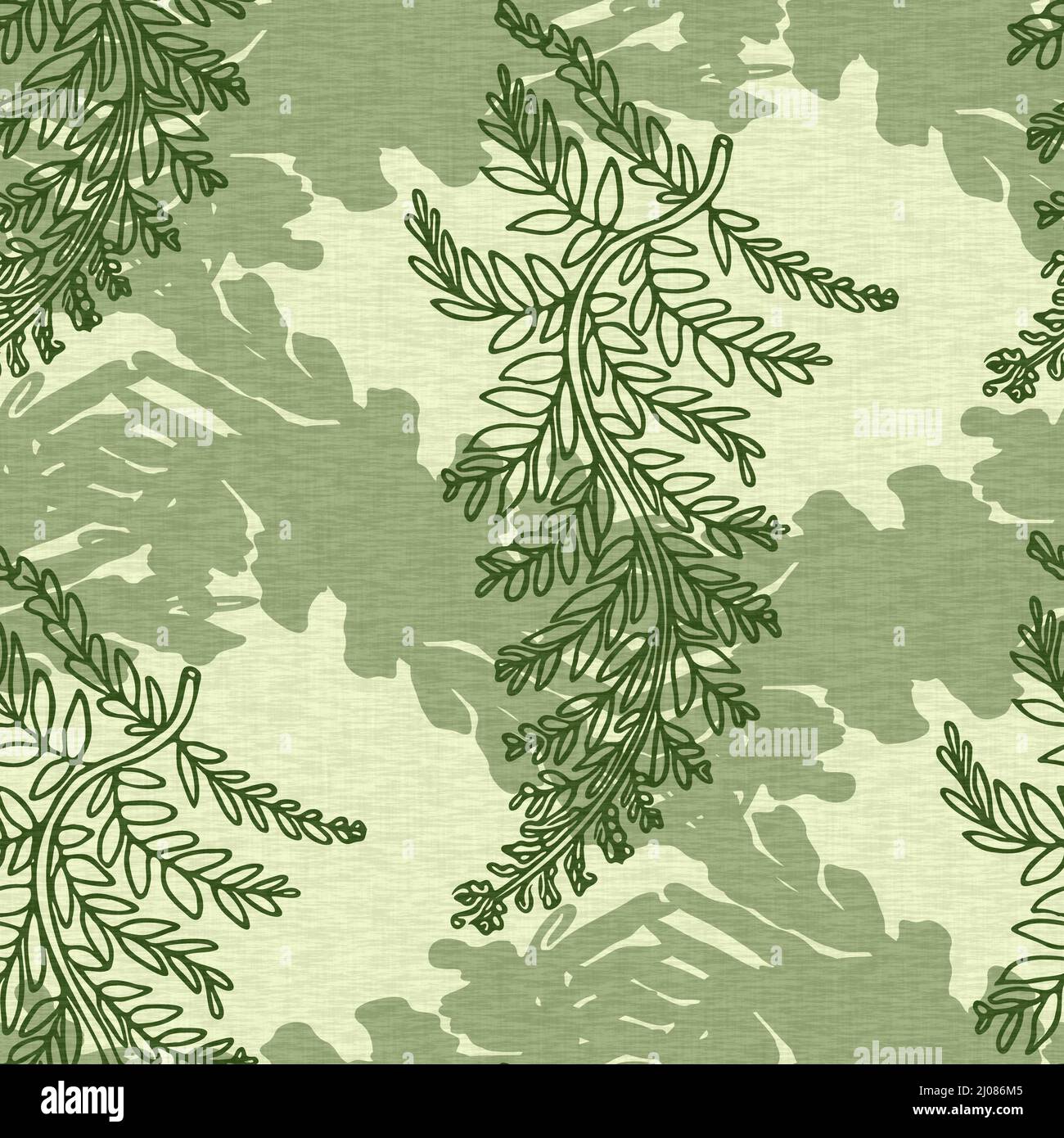 Retro botanical fern frond pattern. Seamless vintage ecological foliage ...