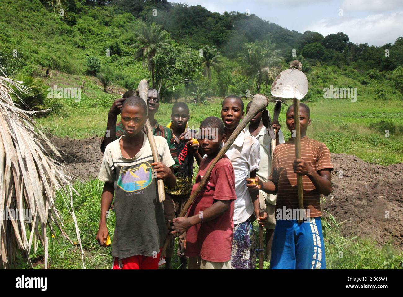 Group of children in the small village in the jungle of Sierra Leone ...