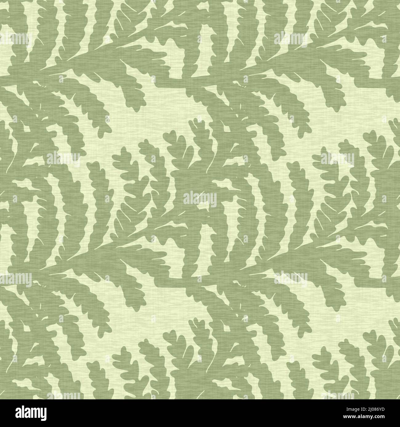 Retro botanical fern frond pattern. Seamless vintage ecological foliage ...