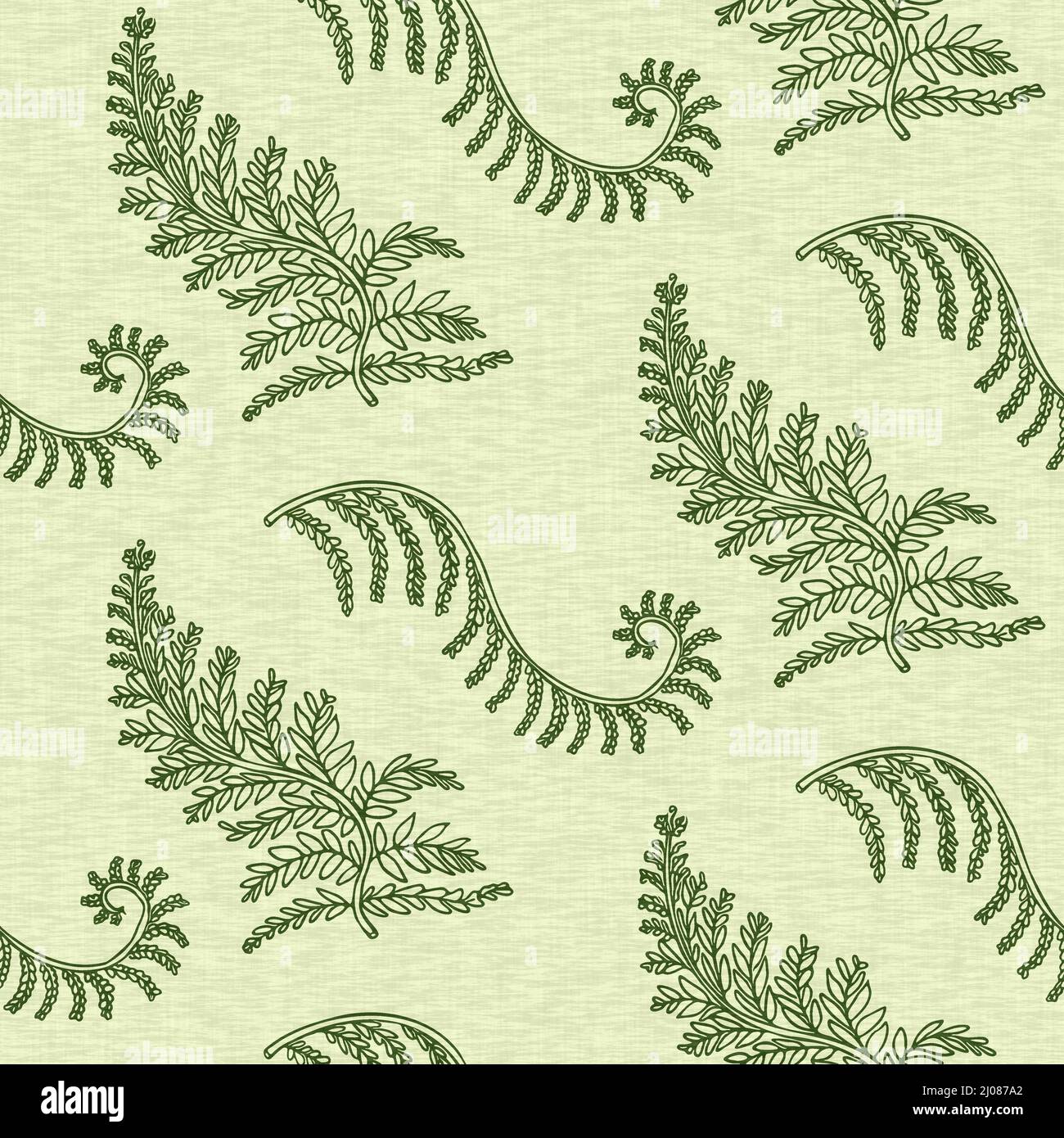Retro botanical fern frond pattern. Seamless vintage ecological foliage ...