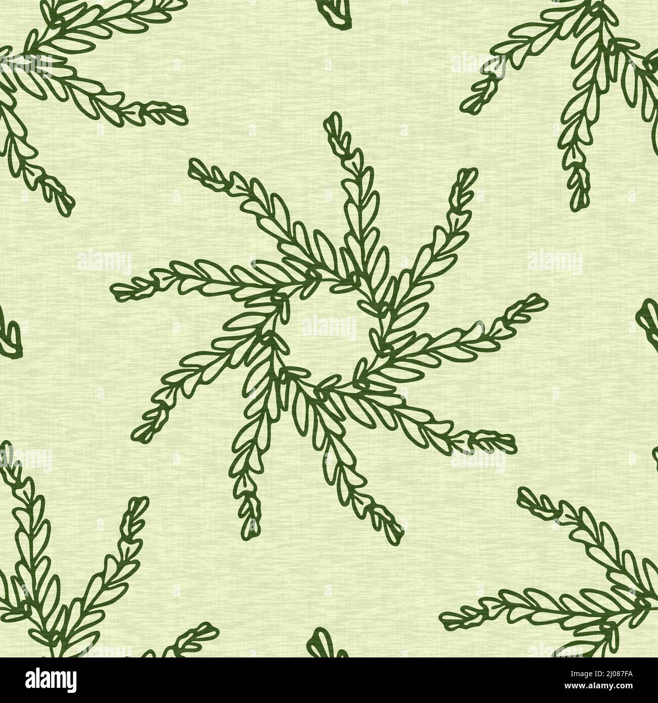 Retro botanical fern frond pattern. Seamless vintage ecological foliage ...