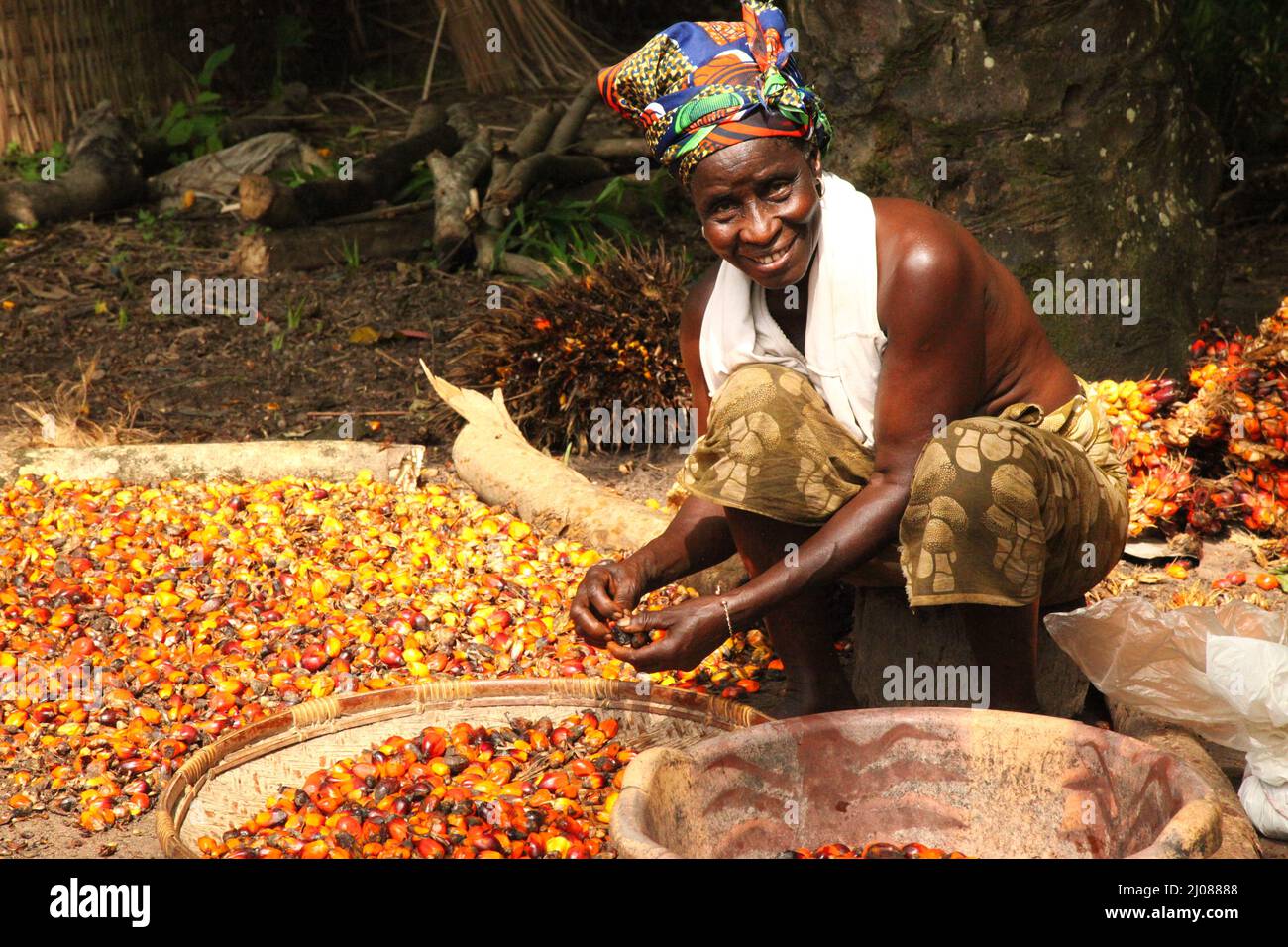African woman collecting fruits in the village of Sierra Leone Stock ...